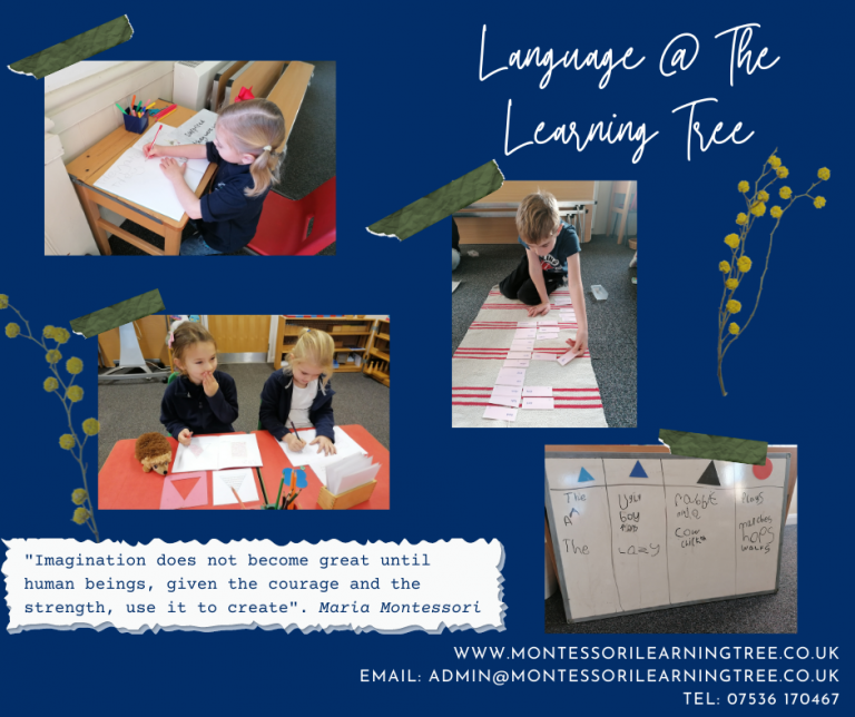 Language at The Learning Tree – The Learning Tree